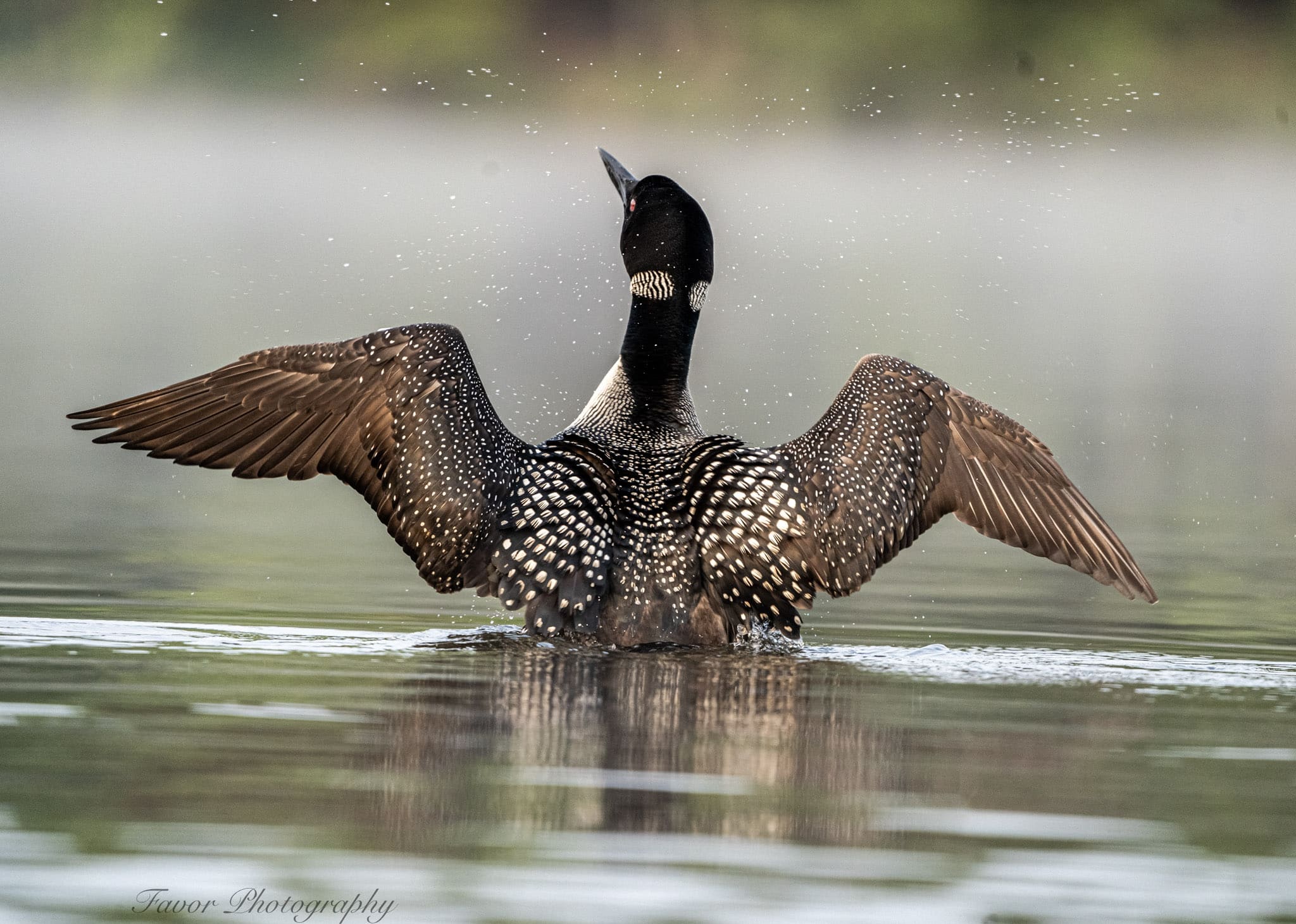 About St. Germain WI | Learn About the Area and Our Community